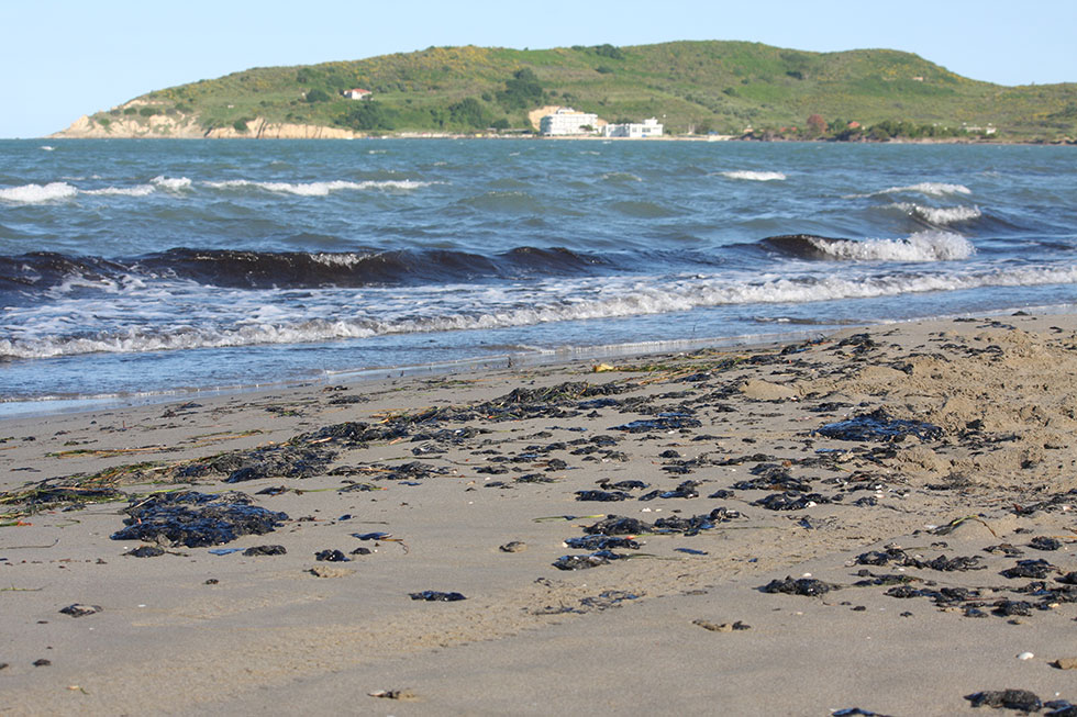 Forca Detare operacion antindotje në Zvërnec